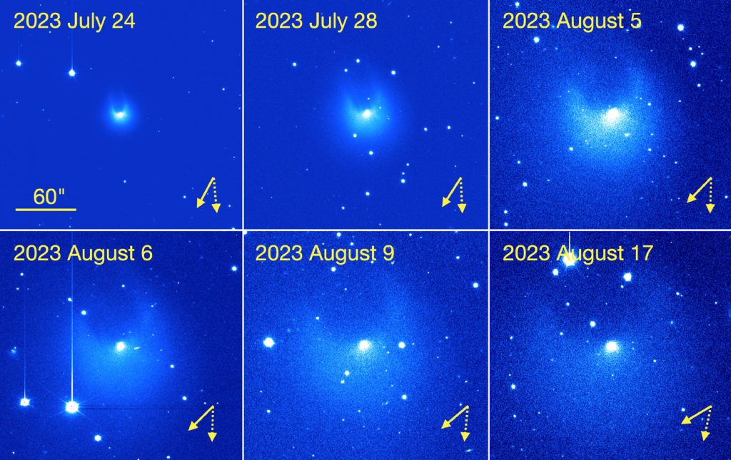 David Jewitt Studies on Halley Type Comets (HTCs) Published in ...